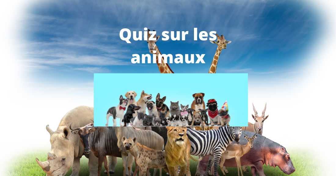Quiz sur les animaux - Quiz Market